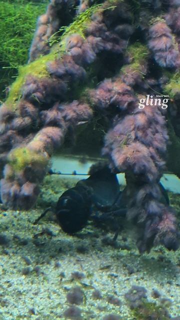 Морские обитатели Красноярске / Россия VLOG #зоопарк #океанариум #красноярск