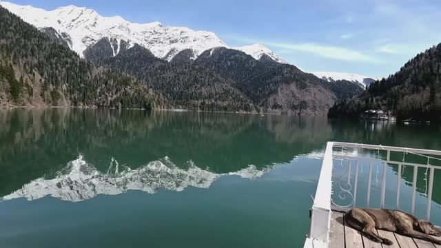 Сочи 7 дней 25 03 2025 день третий #АндрейКараульщиков