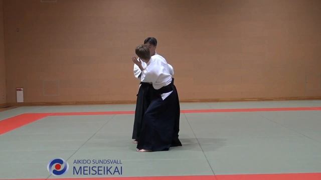 14 Aikido Katadorimenuchi Ikkyo Ura Shishiya Sensei Tokyo 2015