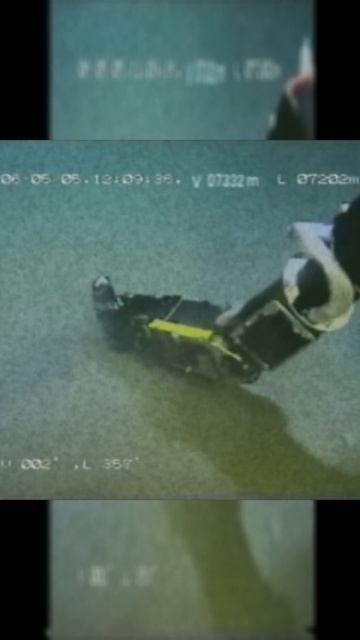 Рекордное погружение на 10 897 метров: тайна древних бактерий в океанических матах