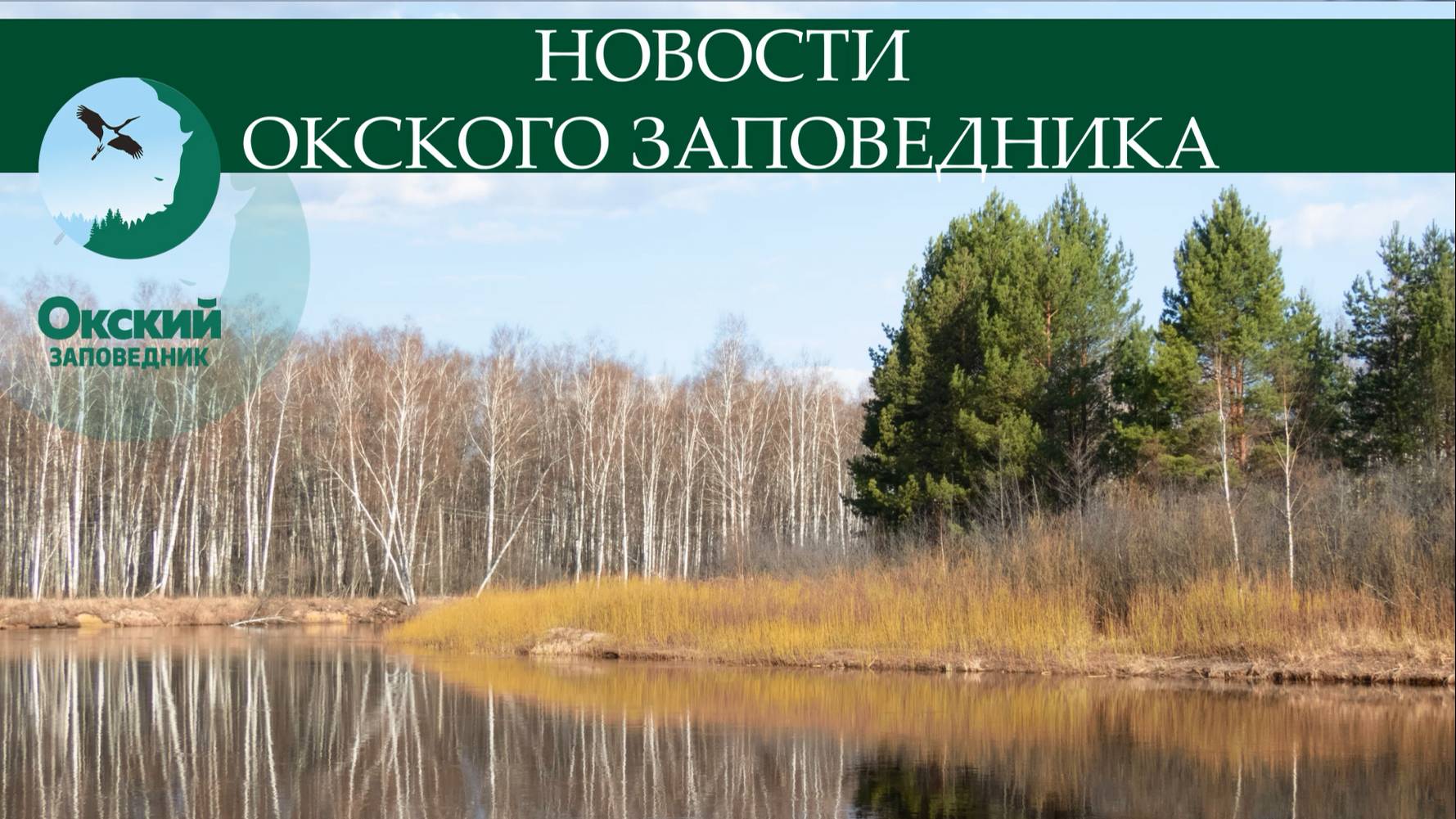 Новости Окского заповедника от 30 апреля 2025 г.