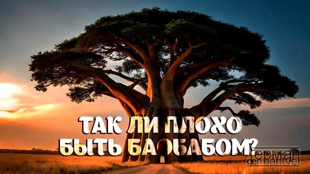 Нормально жить - Kol-O-Bok