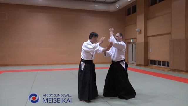 9 Aikido Katadorimenuchi Uchikaiten Sankyo Shishiya Sensei 2015