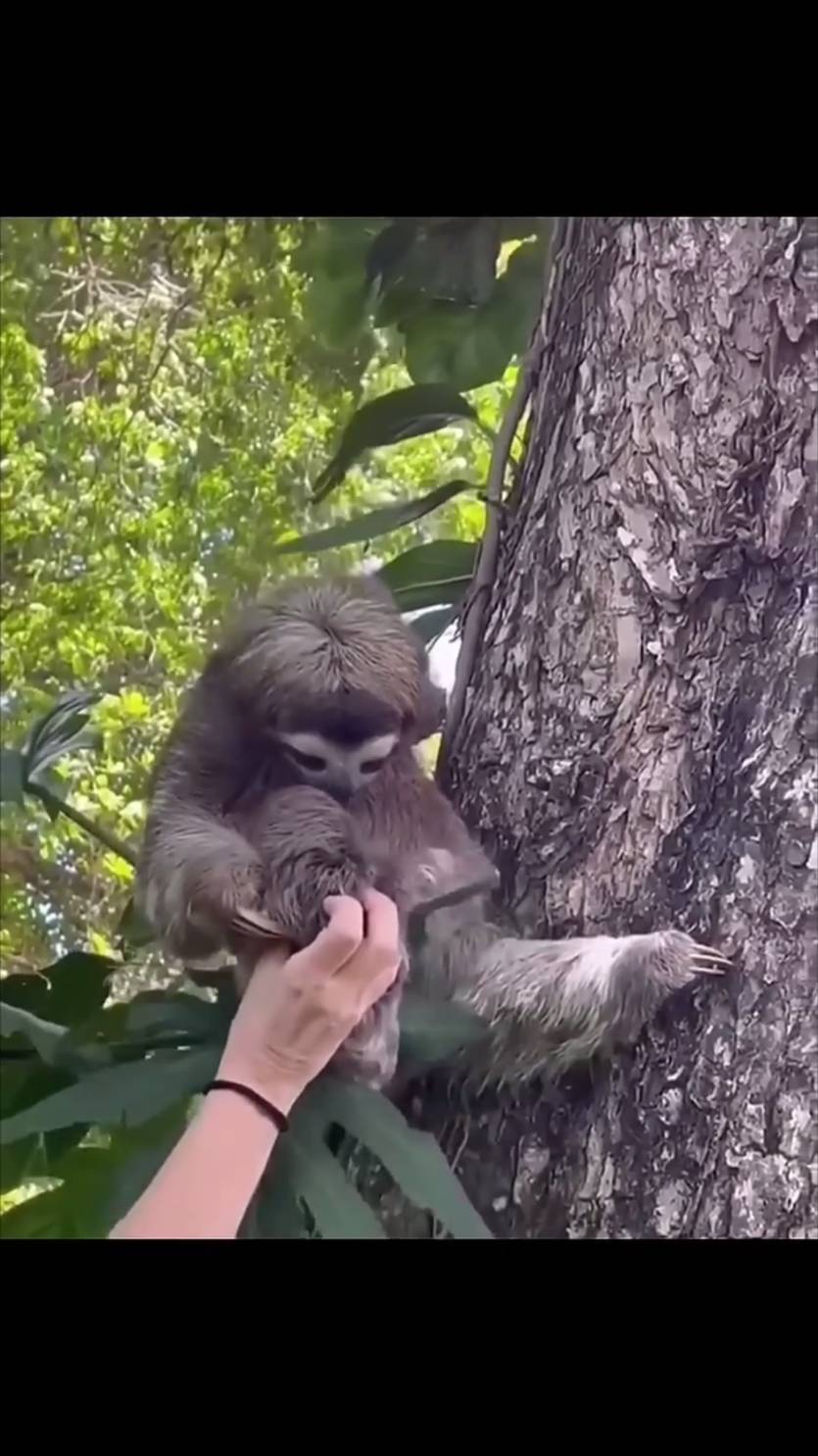 Мир не безнадежен ! 6