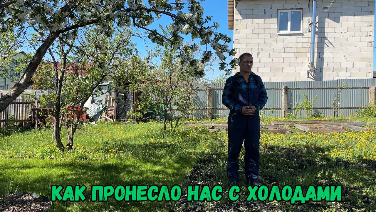 Как пронесло нас с холодами