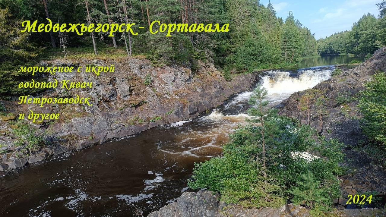 12. Дорога Медвежьегорск-Сортавала. Мороженое с икрой ряпушки, водопад Кивач и многое другое
