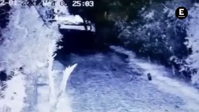 Дуэнде (гоблин) маленького роста перебегает дорогу в Мексике