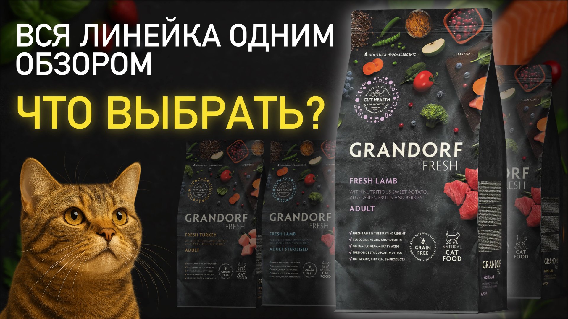 GRANDORF FRESH для кошек: полный разбор и сравнение всей линейки кормов | Хвостатый Питомец