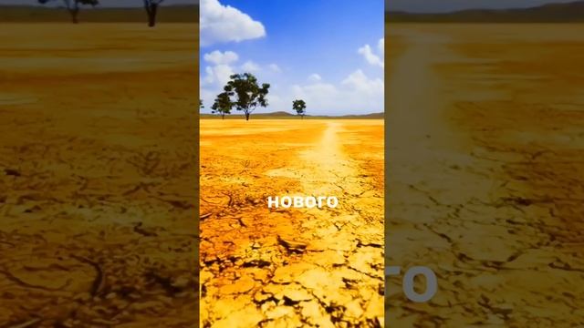 В нашей Солнечной системе обнаружена новая планета возможно жизнь