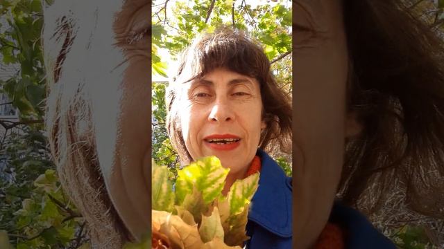 О машинах и листьях. Сказка Ольги Соковой, читает автор