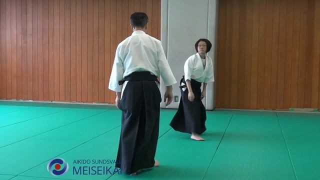 10 Aikido Katadorimenuchi Ikkyo Omote Shishiya Sensei Tokyo 2017