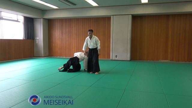 4 Aikido Katadorimenuchi Applications Shishiya Sensei Tokyo 2017