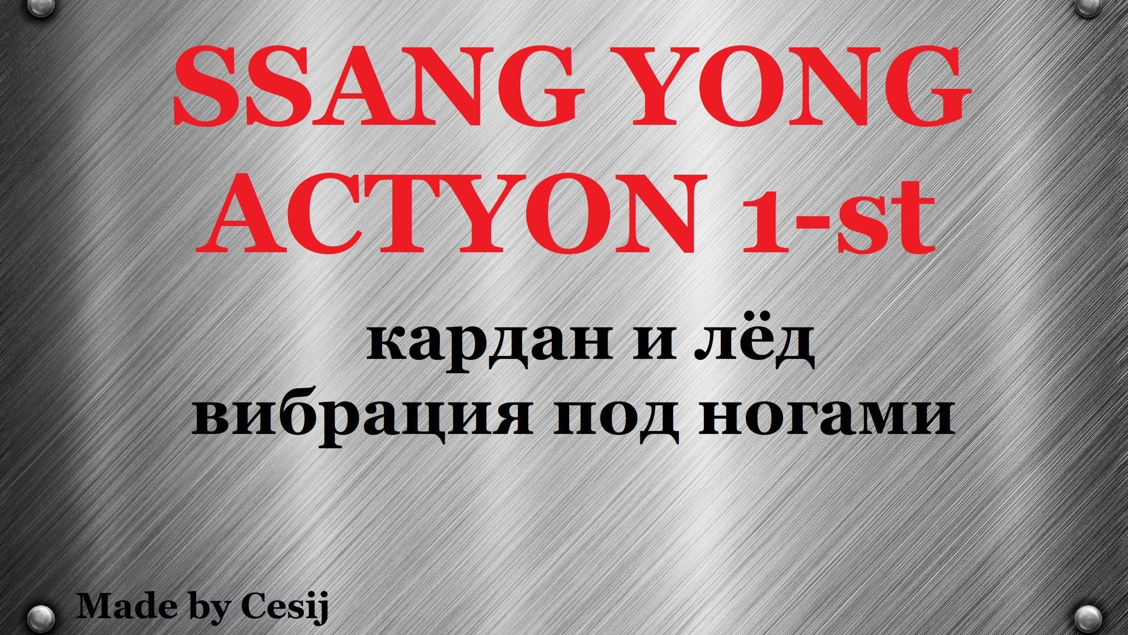 Ssang Yong Actyon 1, Sports, Kyron. Вибрация кардана под ногами.