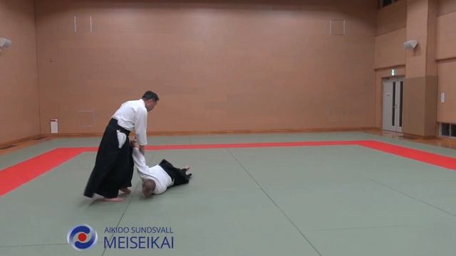 1 Aikido Ai Hanmi Kotegaeshi Shishiya Sensei Tokyo 2017