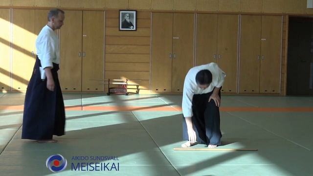 2 Aikido Ken no Tebiki Ai Hanmi Shihonage Shishiya Sensei Tokyo 2016