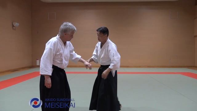 19 Aikido Katadorimenuchi Uchite Sankyo Shishiya Sensei Tokyo 2015
