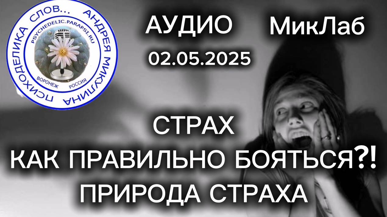Страх. Как Правильно БОЯТЬСЯ?! Природа Страха. Психоделика Слов. Прямой Эфир с Андреем Микулиным