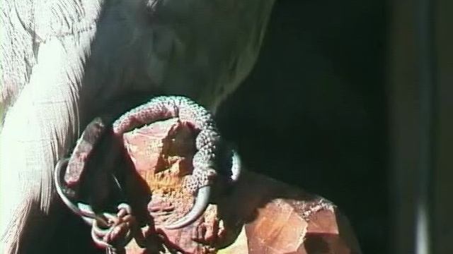 2006 г. Моя Индонезия 3