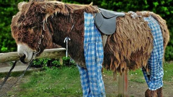 не ты что то перепутал