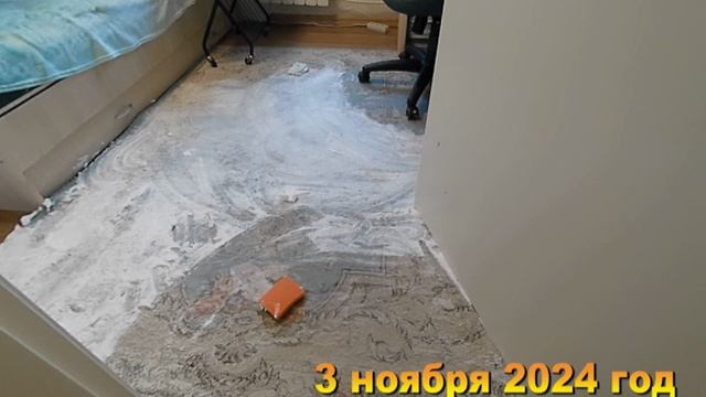 Ремонт в квартире. Как помыть ковер быстро и легко? Хроника  3 ноября 2024 год
