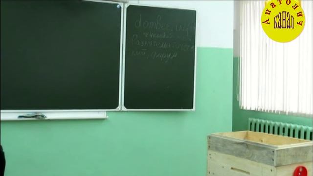 Пасека, медоносы и вывод маток Часть 2