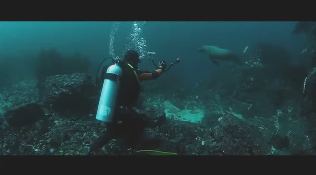 Мир природы на Земле, невероятное онлайн ПУТЕШЕСТВИЕ под водой и на воде.