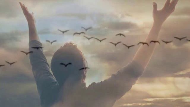 БЕЛЫЕ ПТИЦЫ🎼(О.Хромов)🎼🎼🎼