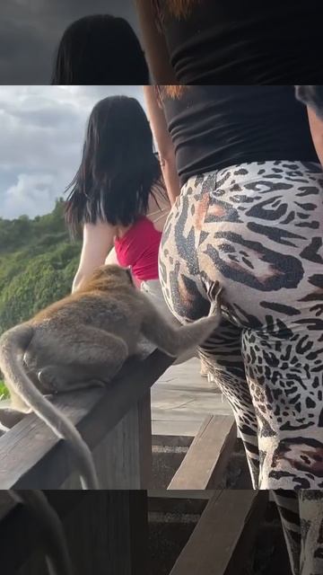 Запах женщины 😂