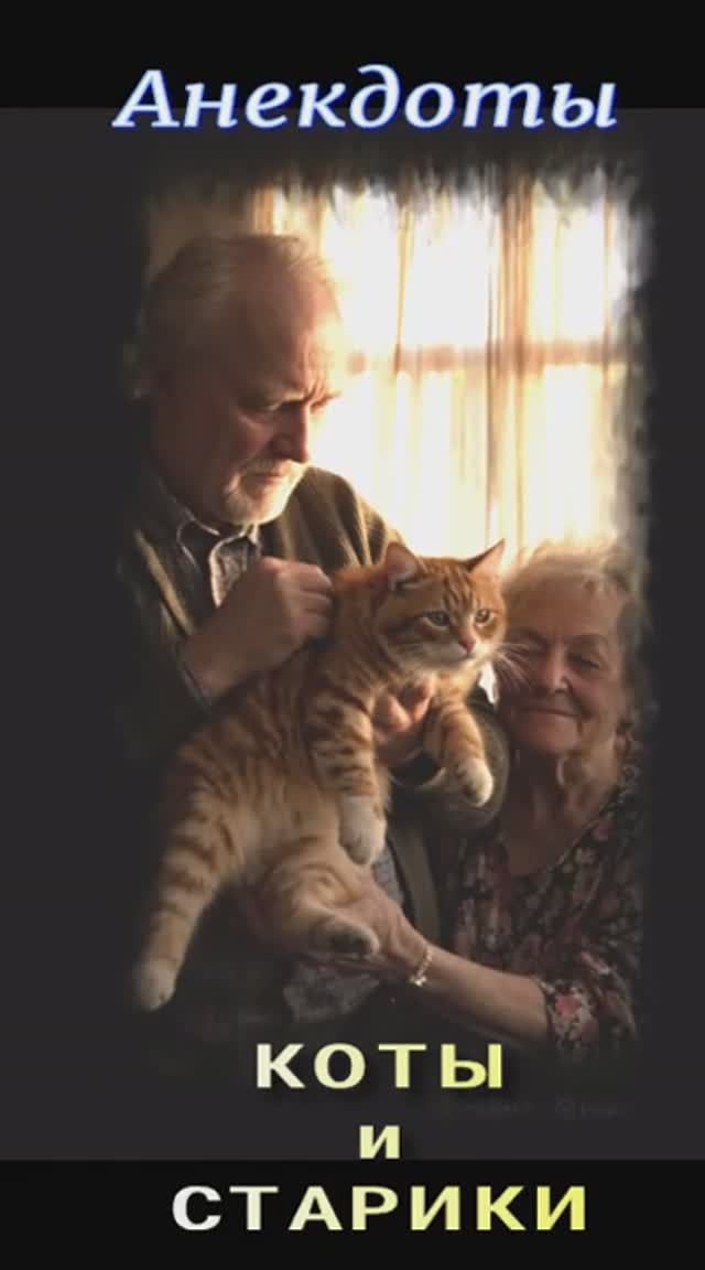 Анекдоты. Отдам КОТА в хорошие руки... #Shorts