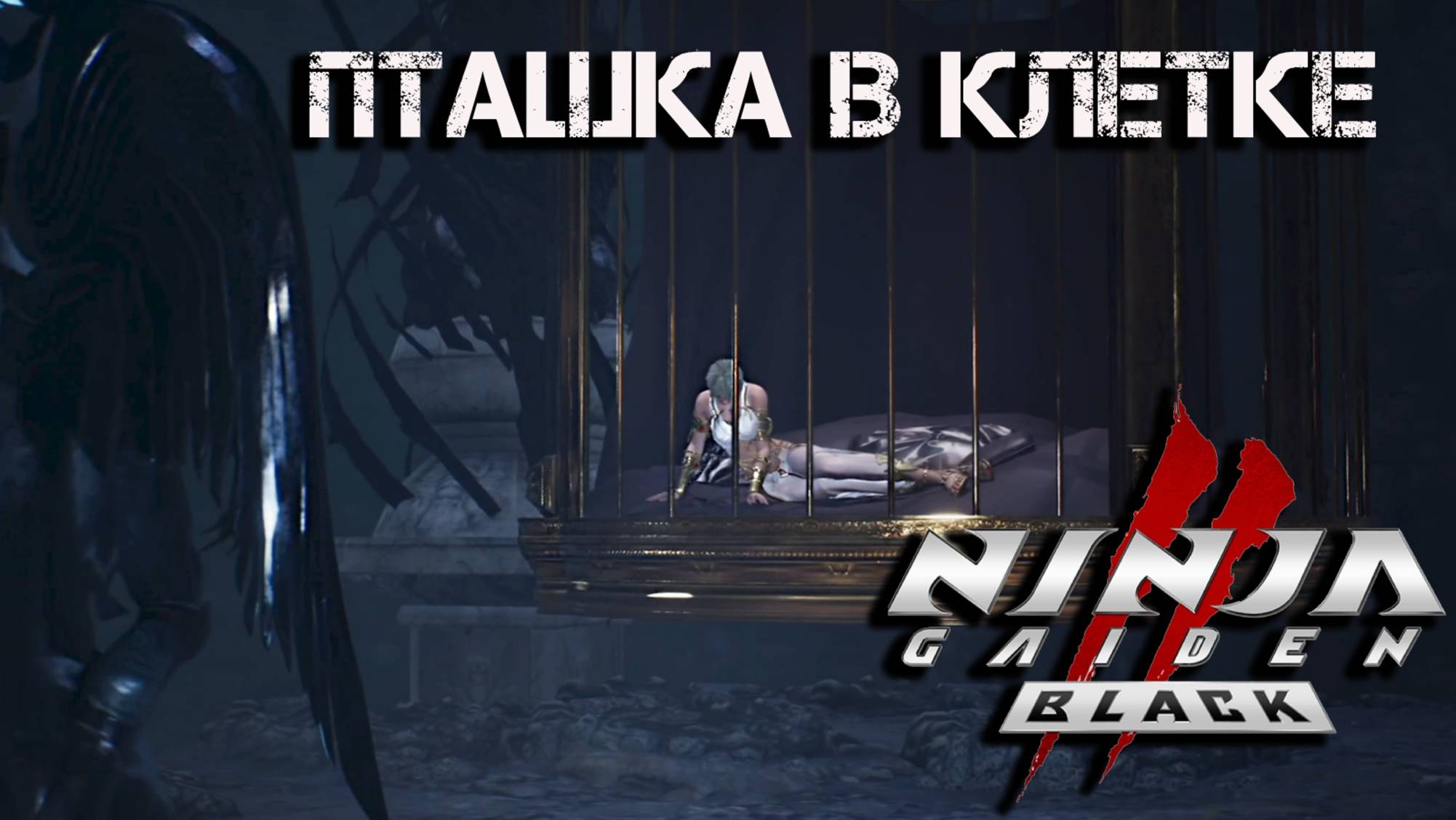 Ninja Gaiden 2 Black #16 - Пташка в клетке | Русская озвучка | Прохождение