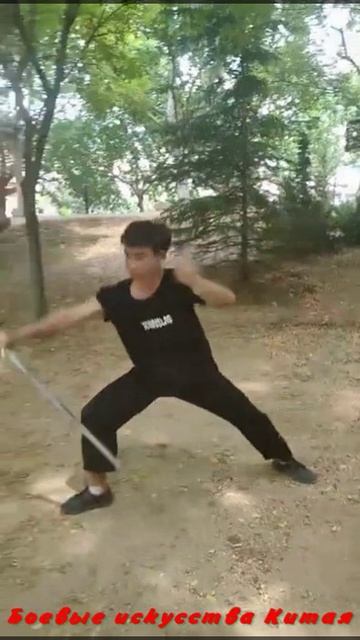 Двусторонний меч Тяньбяньхэ Удан, длинный меч (моменты обучения)