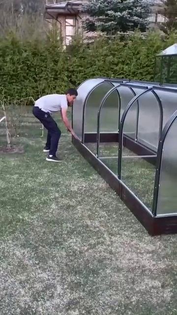 Парник Тюльпан Мини