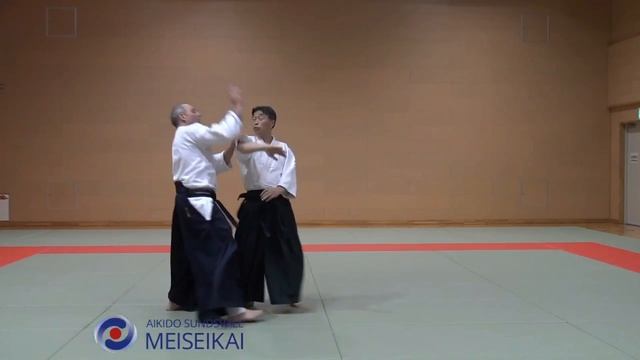17 Aikido Katadorimenuchi Uchite Nikyo Shishiya Sensei Tokyo 2015