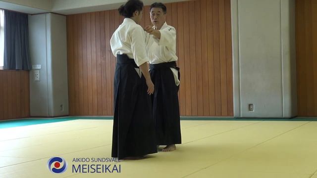 7 Aikido Ai Hanmi Kotegaeshi Shishiya Sensei Tokyo 2016