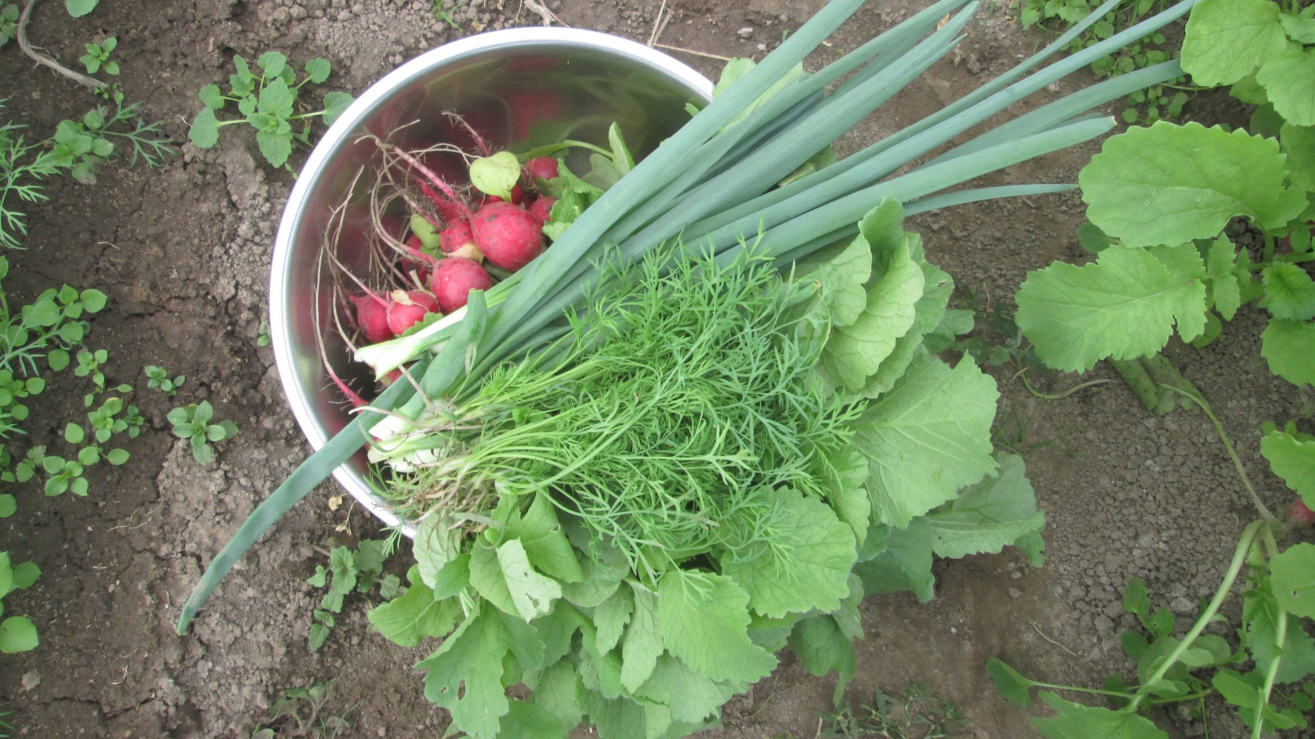 Урожай в апреле