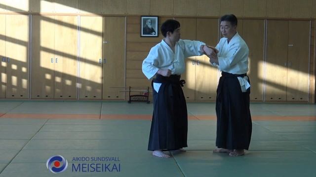 8 Aikido Ai Hanmi Nikyo Shishiya Sensei Tokyo 2016