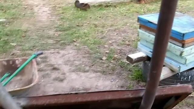 Пасечная тачка для перевозки ульев