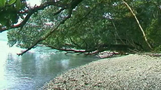 2006 г. Моя Индонезия 2