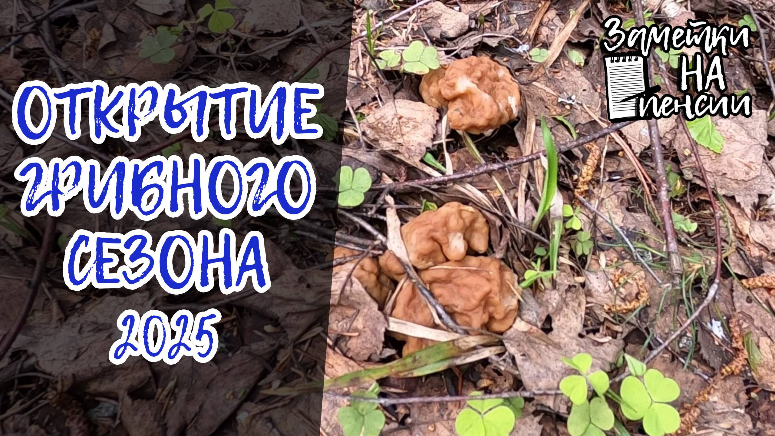 Открытие грибного сезона 2025 #лес #деревня #грибы #весна