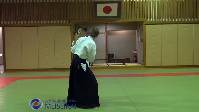 20 Aikido Katadorimenuchi Ikkyo Ura 3 Shishiya Sensei Tokyo 2015