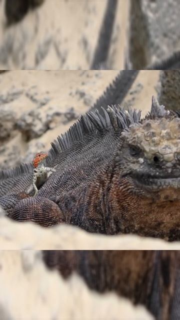 Тайна древних гор, что выросли из океана