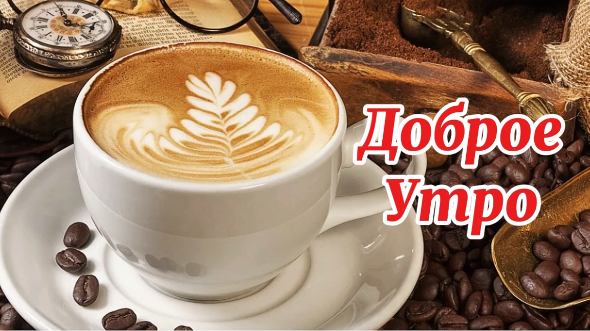 Доброе утро! Ещё темно и солнце не проснулось!