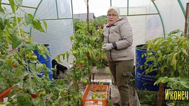 О моём канале