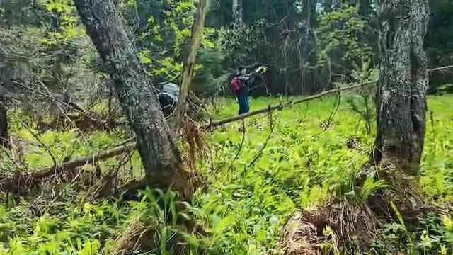 Колба от Галины 02.05.25.