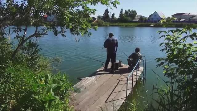 Бешеный клев карася на донку #рыбалка#карась#донка#озеро