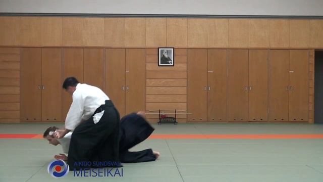 2 Aikido Katadorimenuchi Ikkyo Omote 2 Shishiya Sensei Tokyo 2015