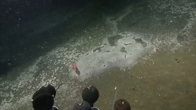 Марианская впадина: где инопланетная жизнь обитает под давлением 1000 атмосфер