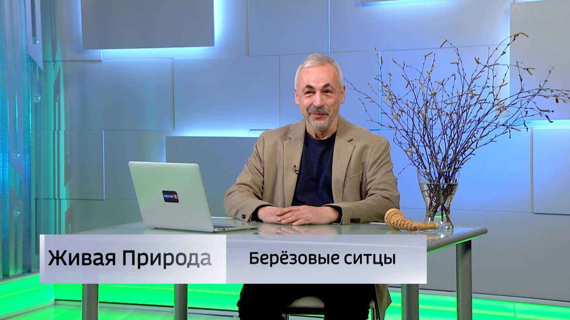 Живая природа. "Березовые ситцы"