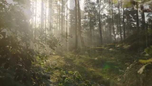 Музыка для расслабления. Успокающая музыка для души. Музыка для релакса.