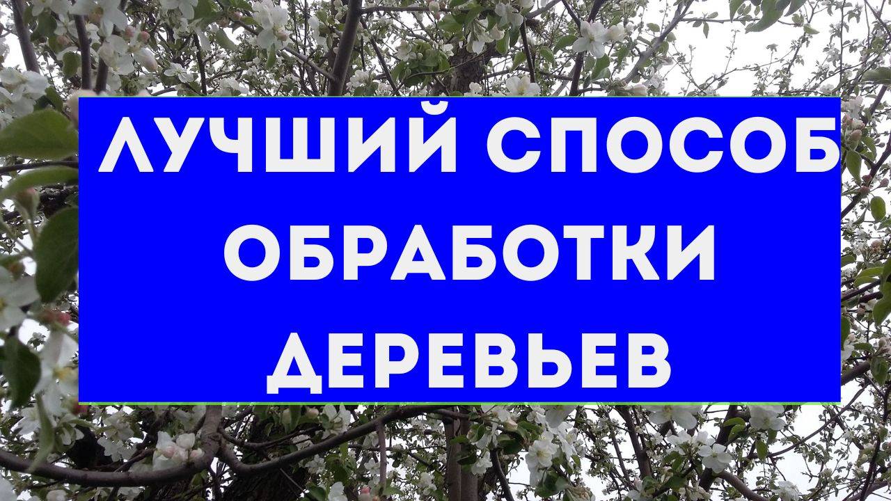 Бургундская смесь весной, лучше не найдешь